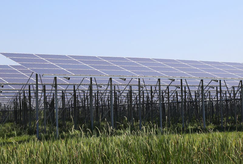 Solar farm in Queensland stock image. Image of farm - 185294751