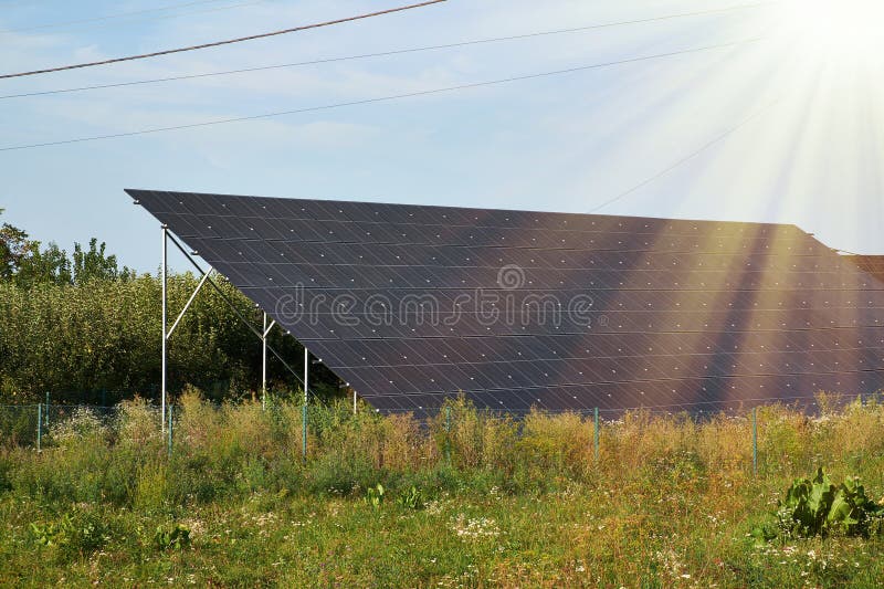 A Large Solar Panel Array Installed in a Green Field, Absorbing ...