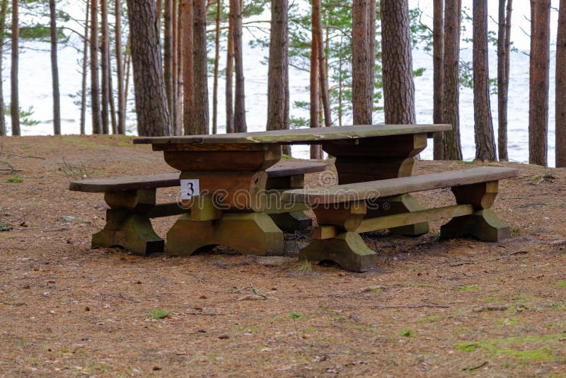 A Large Solid Wood Table with Benches for Sharing in a Nature Park in a ...