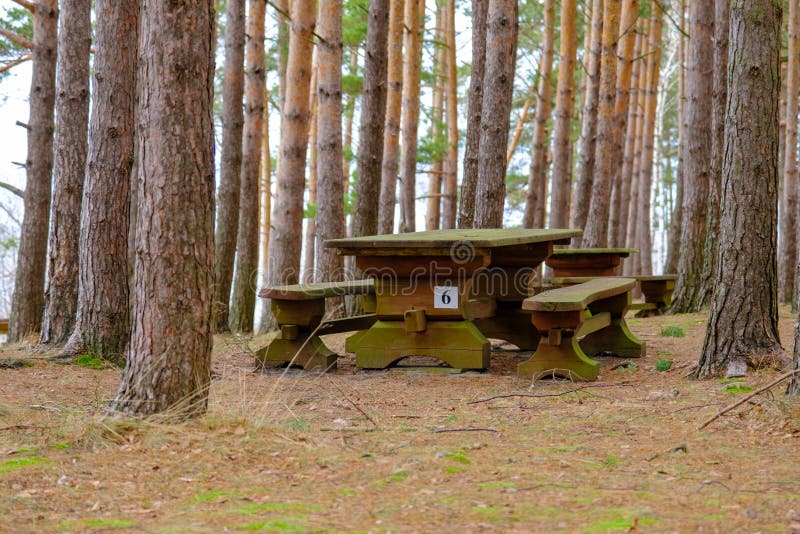 A Large Solid Wood Table with Benches for Sharing in a Nature Park in a ...