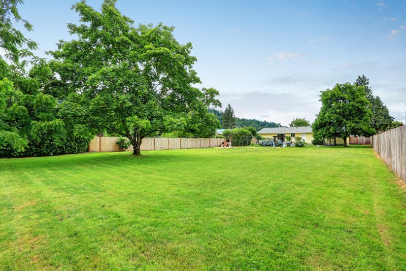 Large Spacious Backyard Area, Filled with Green Grass Stock Photo ...