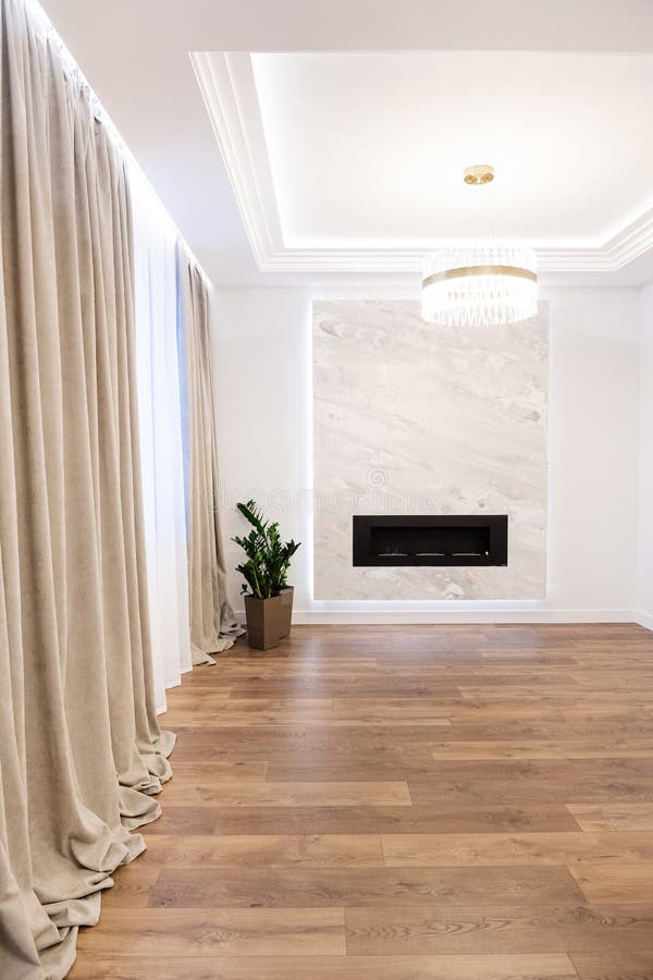 Large Spacious Resolution Clean Room with Fireplace and Plant Stock ...