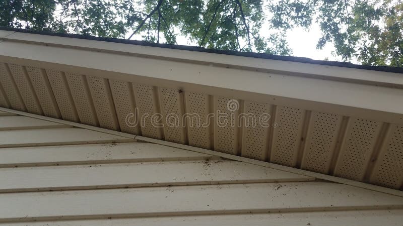 Large Spider on Eaves of House with Insects in Web Stock Image - Image ...