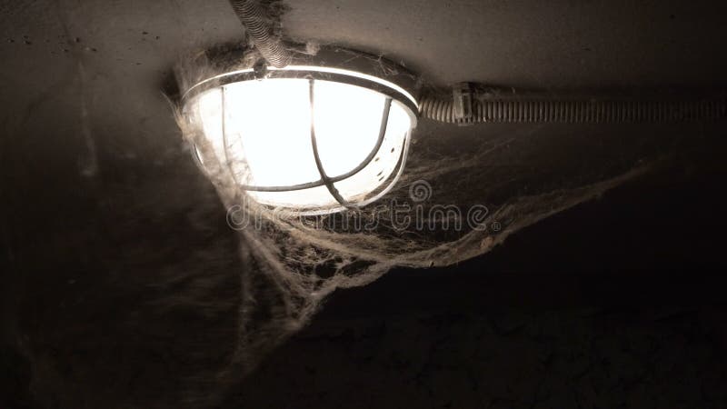 A Large Spider Web Hangs from the Ceiling of a Bright Lamp in a Dark ...