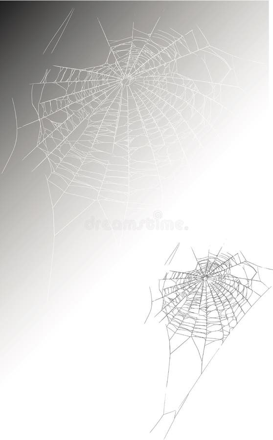 Large spider web stock vector. Illustration of fear - 206464641