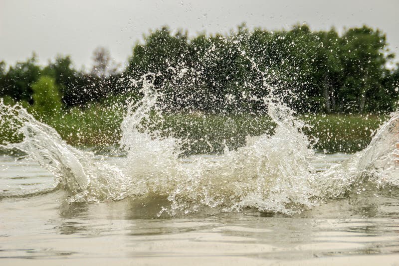 Large Splashes of Water in the Lake Against the Backdrop of the Forest ...