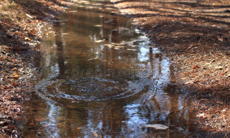 Large Spring Puddle with Reflection and Circular Waves Stock Image ...