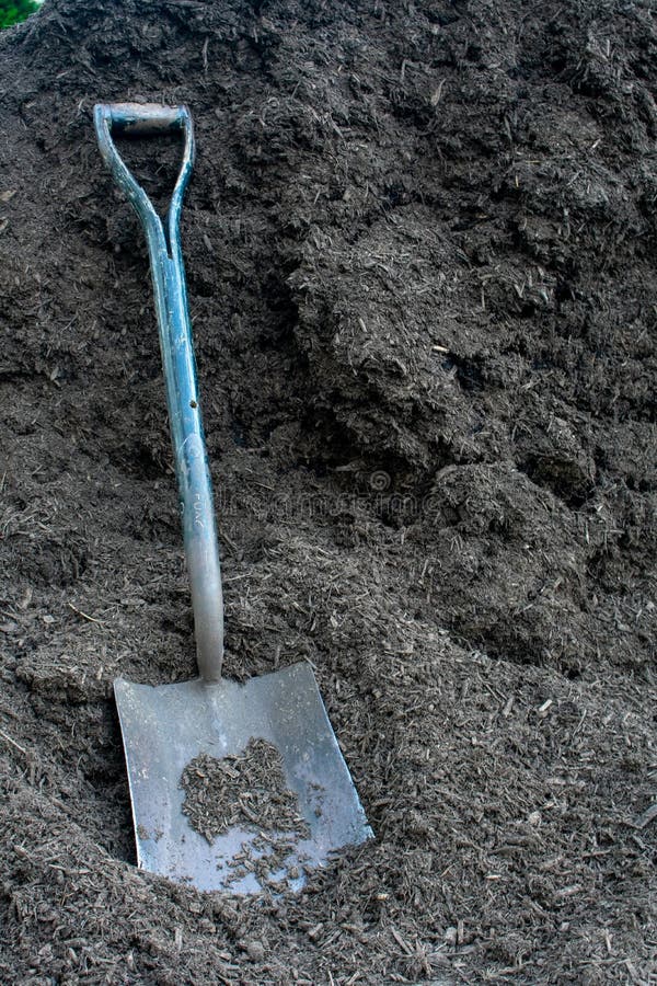 A Large Square Shovel Resting on a Pile of Mulch Stock Photo - Image of ...