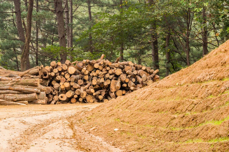 Large Stack of Cut Logs in Background Stock Photo - Image of timber ...