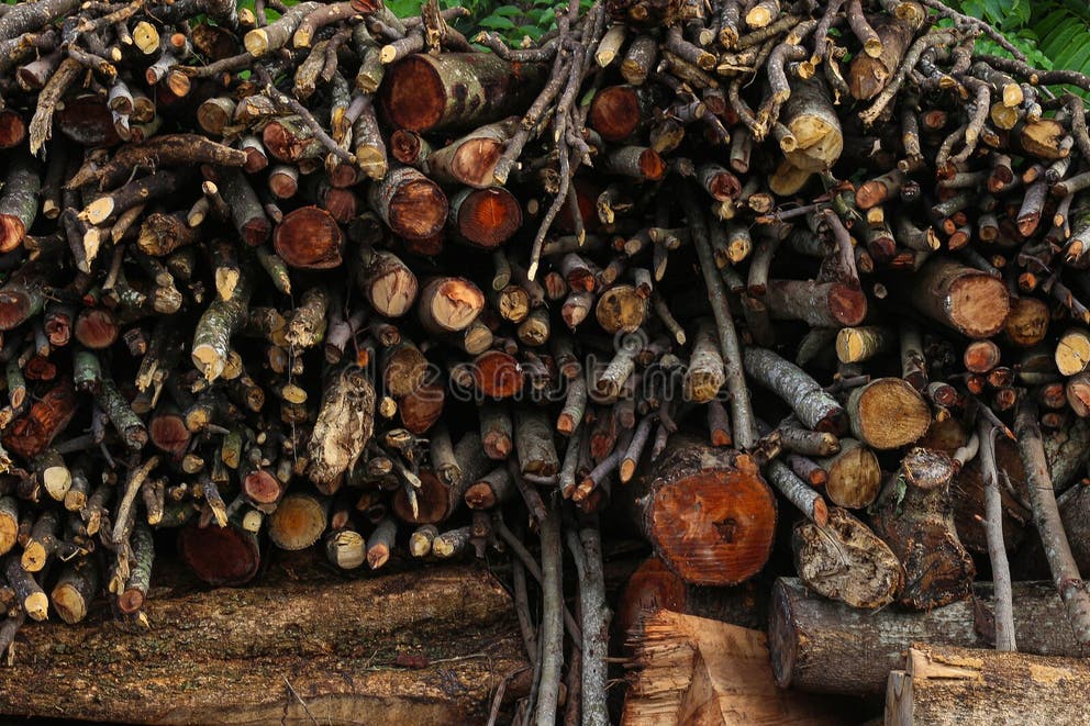 A Large Stack of Cut Logs and Branches Piled Together. Stock Image ...