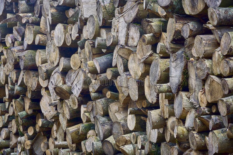 A Large Stack of Cut Timber Stock Image - Image of bark, lumber: 209927351
