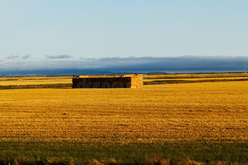 Large Stack of Hay Bales Out in Field with Blue Sky Stock Photo - Image ...