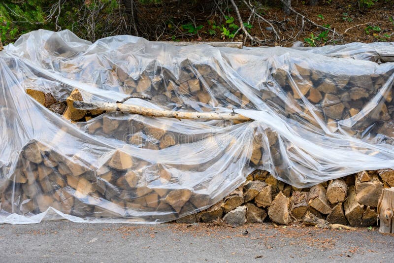 Large Stack of Logs Split into Firewood and Covered by Clear Plastic ...