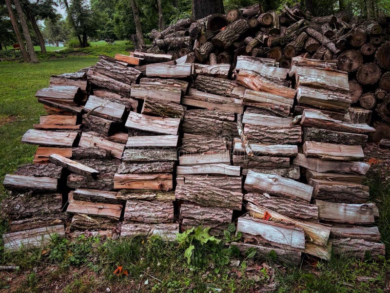 Large Stack of Logs in the Woods, Ready for Use As Firewood Stock Image ...