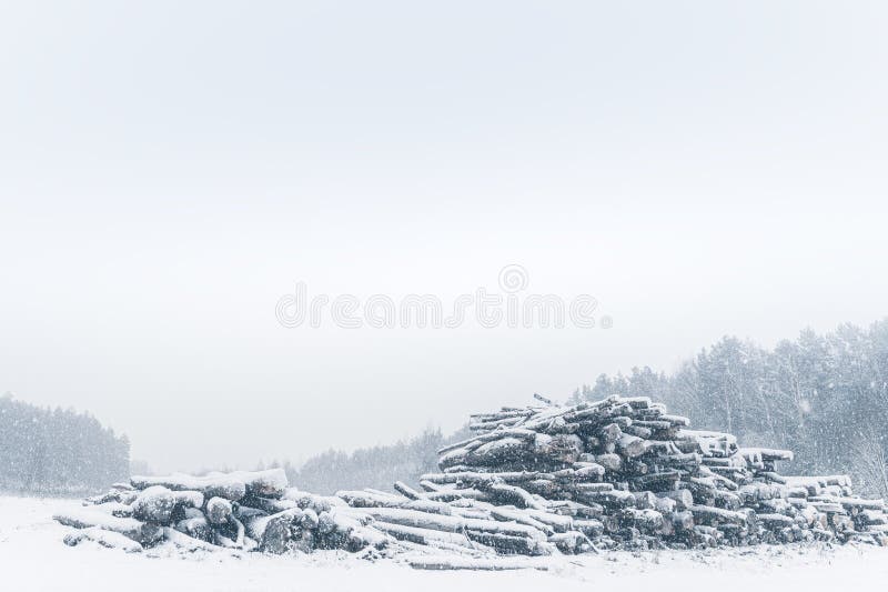 Large Stack of Timber Logs Covered with Snow. Horizontal Image Stock ...