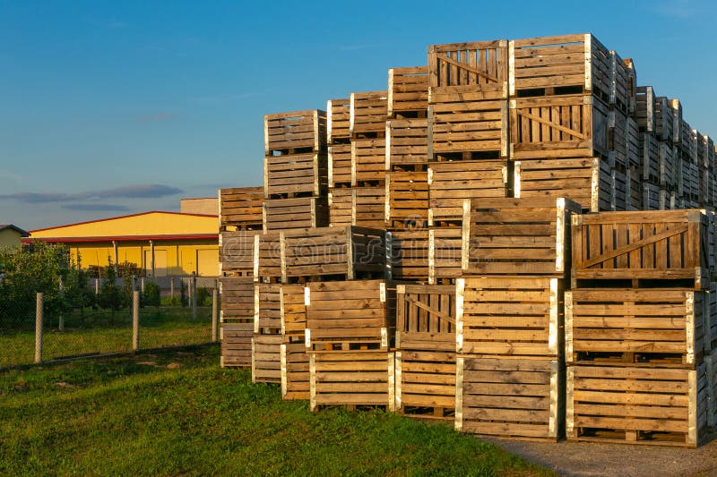 A Large Stack of Wooden Boxes for Picking Apples in an Apple Orchard ...