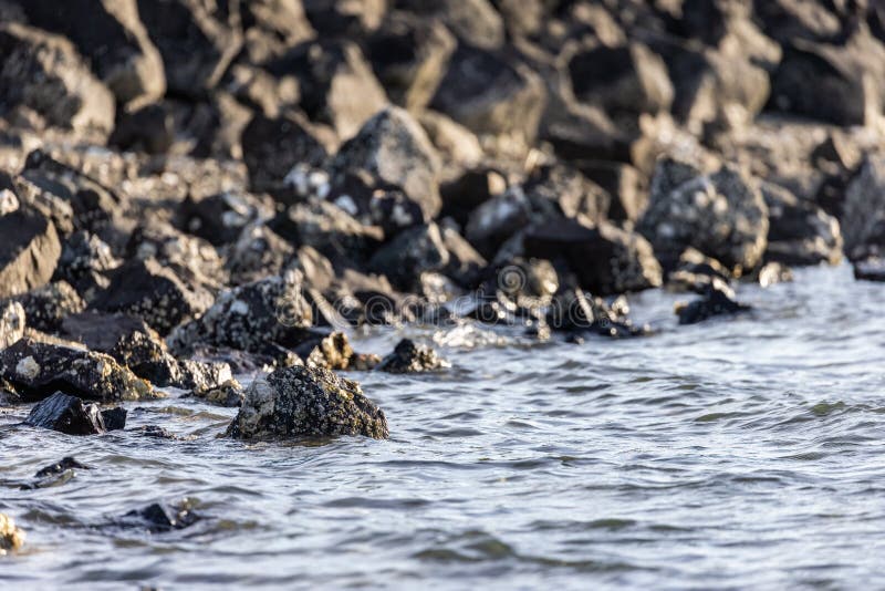 Large Stacked Rocks on the Beach Stock Photo - Image of large, beach ...