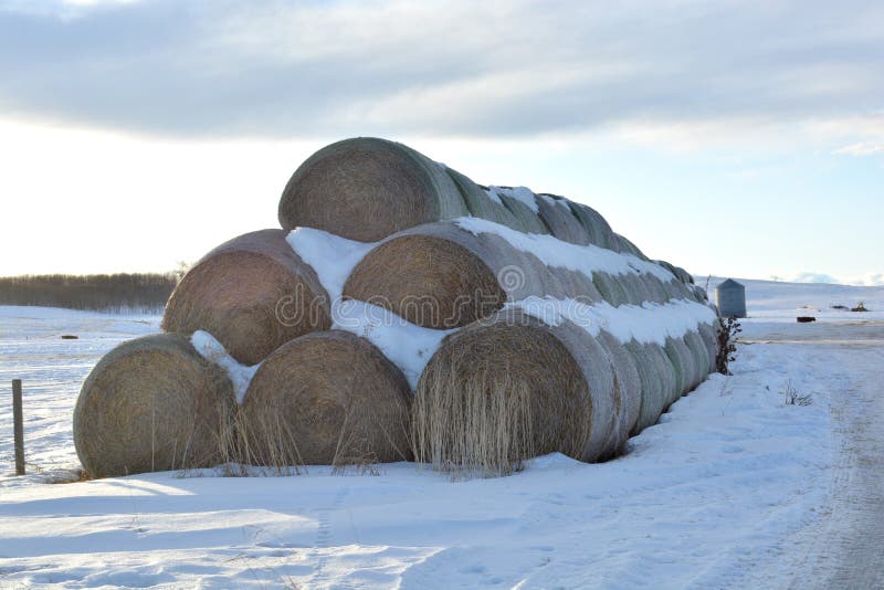 Snowy farm in Ohio stock image. Image of snow, cover - 82741401