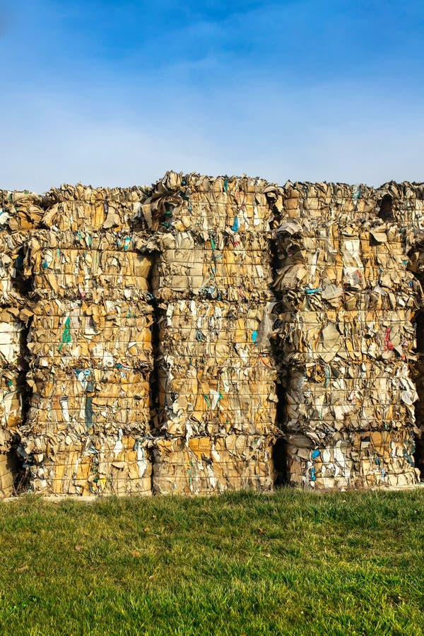 Large Stacks Waste Paper for Recycling on the Grass Outdoors, Vertical ...