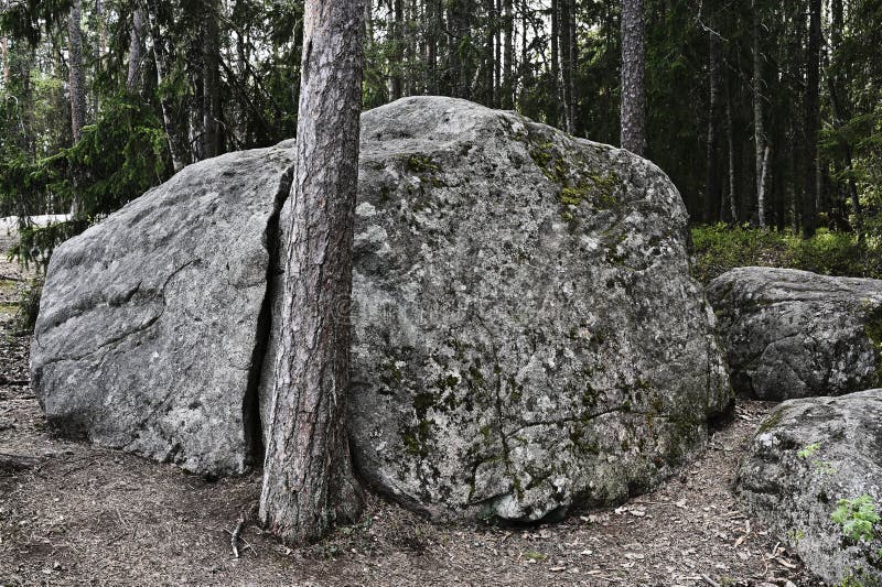 Large Stone Boulder in a Deep Forest Stock Photo - Image of finland ...
