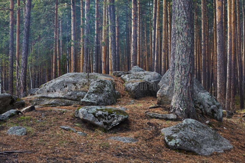 Boulders on forest stock image. Image of prehistory, green - 22832923