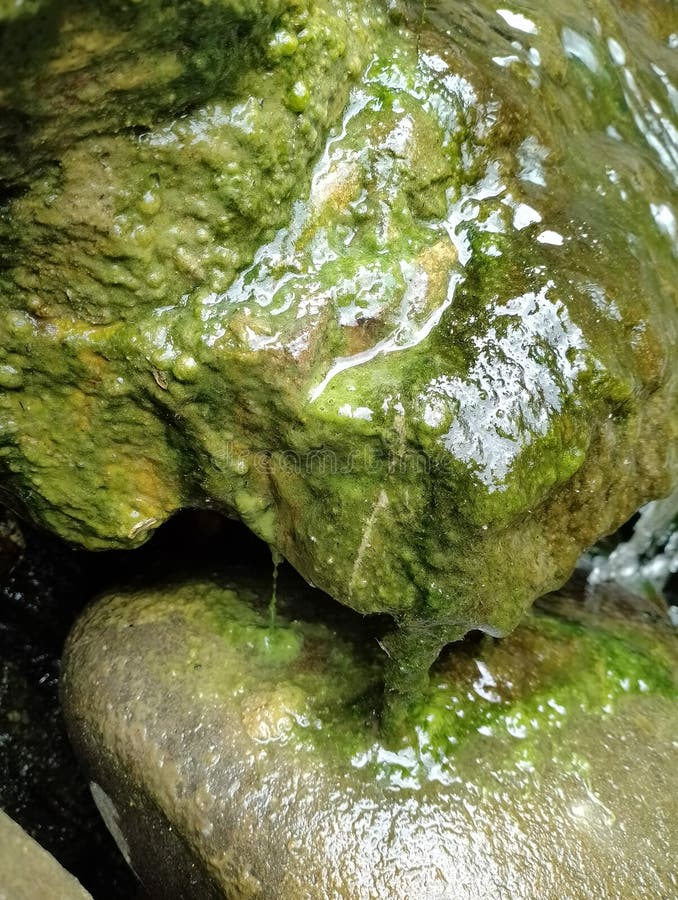 Large Stone Covered with Green Moss Stock Photo - Image of moss, stone ...