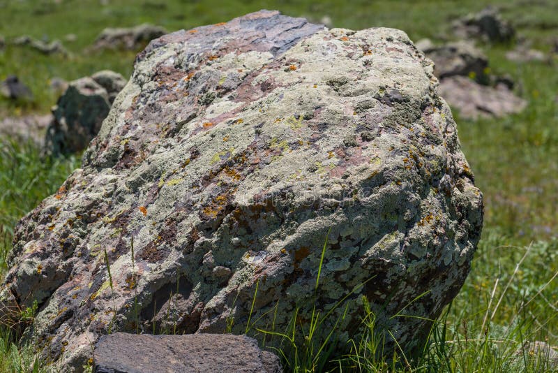 Large Stone in a Field Covered with Moss Stock Photo - Image of large ...