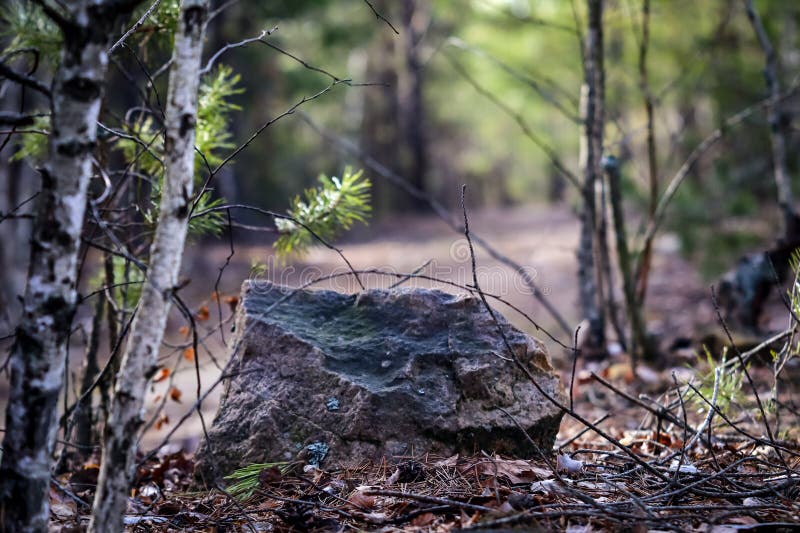 A Large Stone Near a Forest Path. Good Lens Focus. a Walk through the ...
