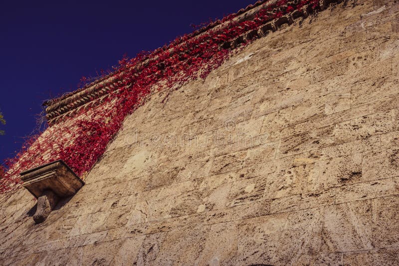 A Large Stone Wall of a Building Light Up by the Sun. Stock Photo ...