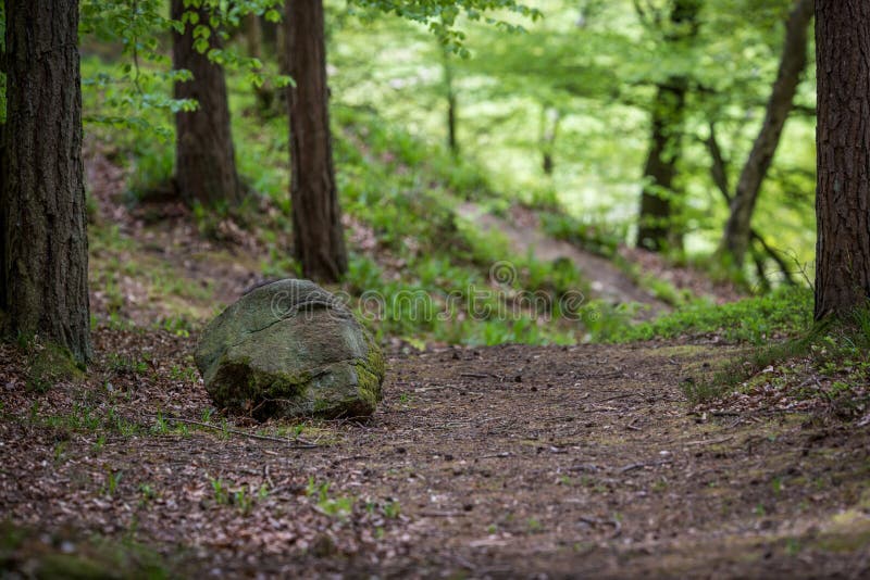 Large stone in the woods stock photo. Image of path, nature - 71578120