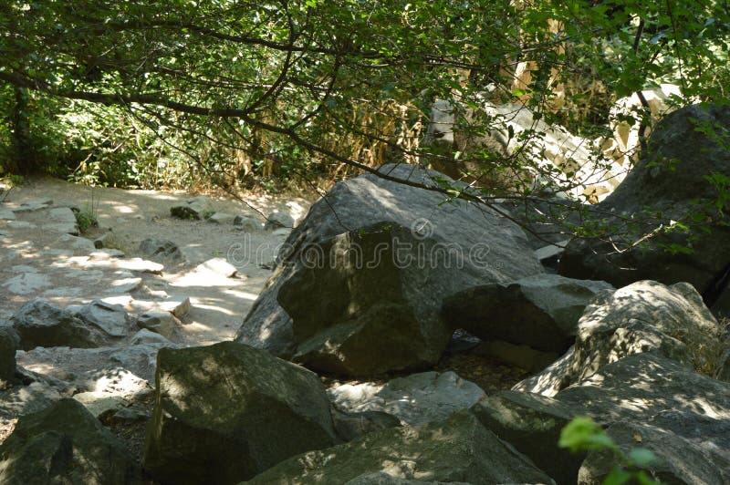 Large Stones Along the Forest Path in the Thickets of Trees Stock Photo ...