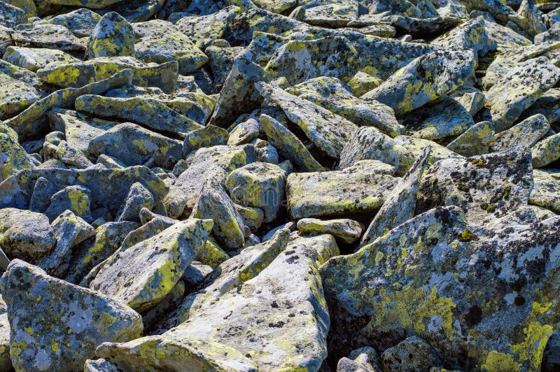 Large Stones Covered with Moss Stock Photo - Image of large, rough ...