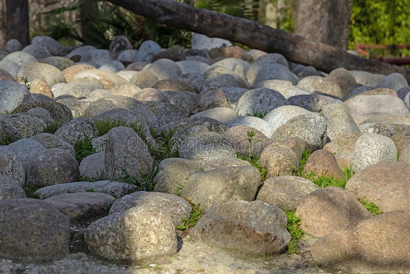 Large Stones in the Forest on the Grass Against a Background of ...