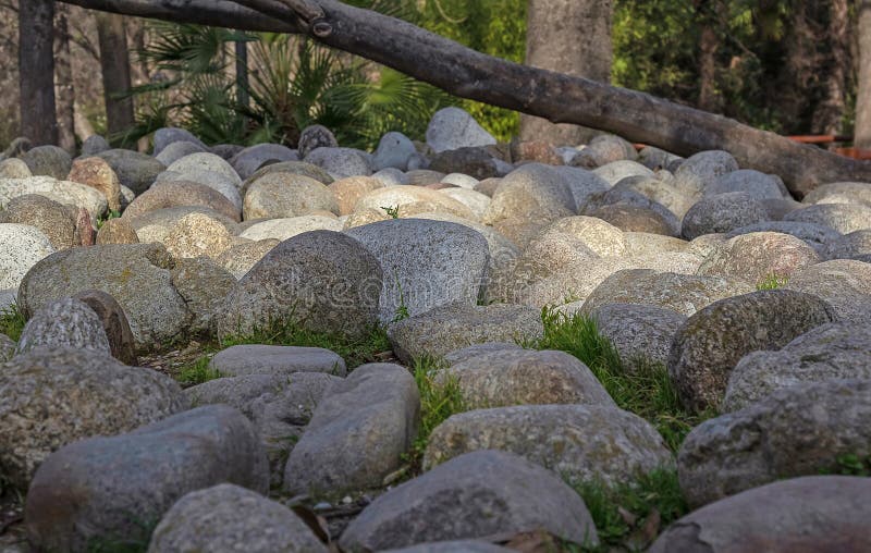 Large Stones in the Forest on the Grass Against a Background of ...