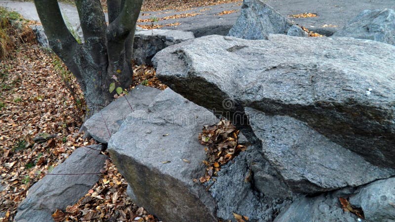 Large Stones Near a Tree, Autumn, Fallen Foliage Stock Photo - Image of ...