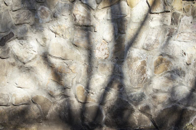 Large Stones Wall, with Trees Shadows Stock Photo - Image of design ...