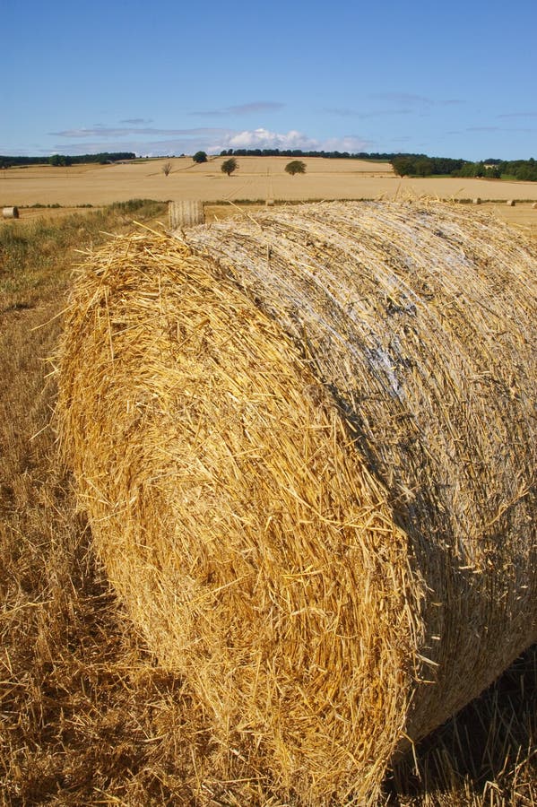Large Straw Haystack in Rural Landscape Stock Image - Image of growing ...