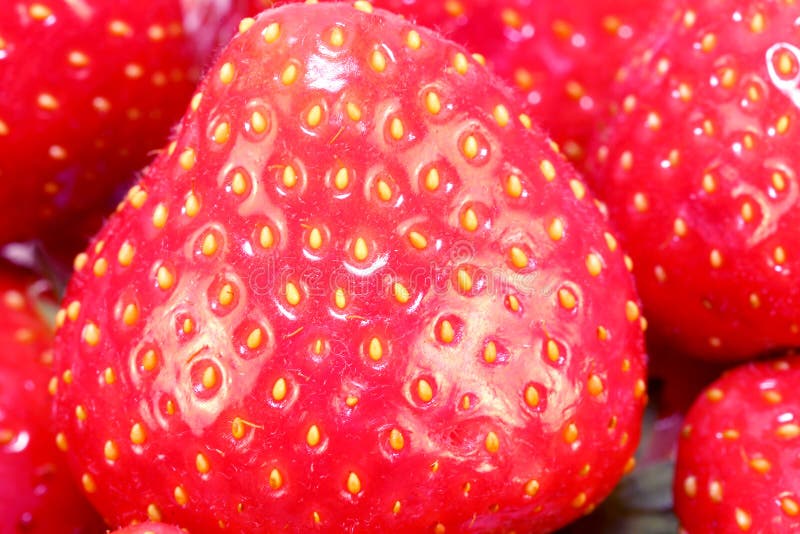 Large strawberry stock photo. Image of nutrition, large - 38652066