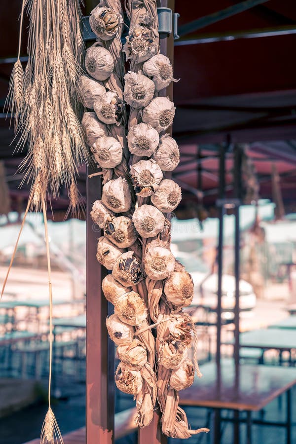 Garlic Hanging From String stock image. Image of image - 8755497