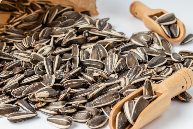 Large Striped Sunflower Seeds with Shell Texture Background Stock Photo ...