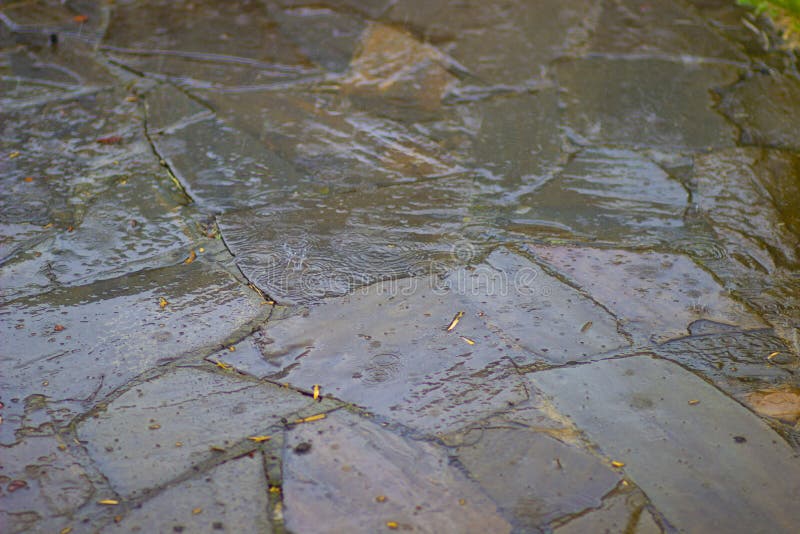 Large Summer Rain Drops on the Stone Path Stock Photo - Image of aged ...