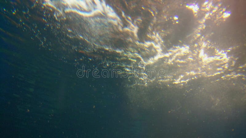 Large Sunlit Water Stream with Viewed from the Lake Bottom Stock Photo ...