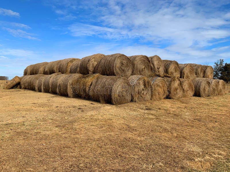 Large supply of hay bales stock photo. Image of pile - 182855336