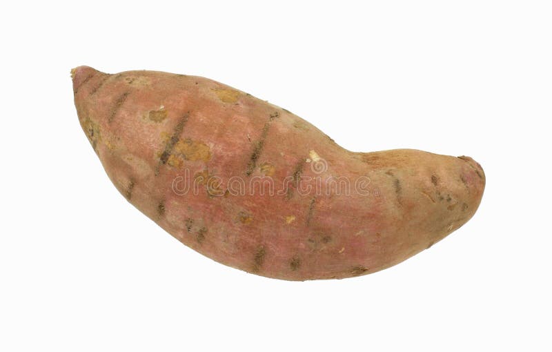 Large Sweet Potato stock image. Image of sweet, food - 13274211