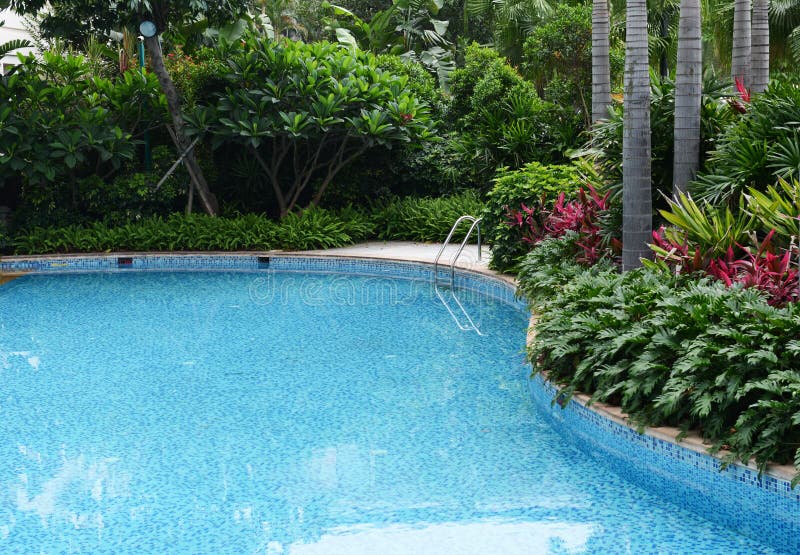 Large Swimming Pool with Trees Stock Image - Image of landscaping ...