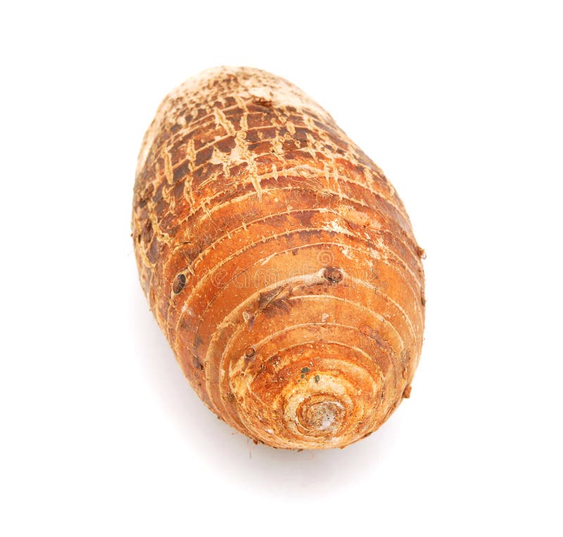 Large taro yam stock photo. Image of tuber, agriculture - 18174170