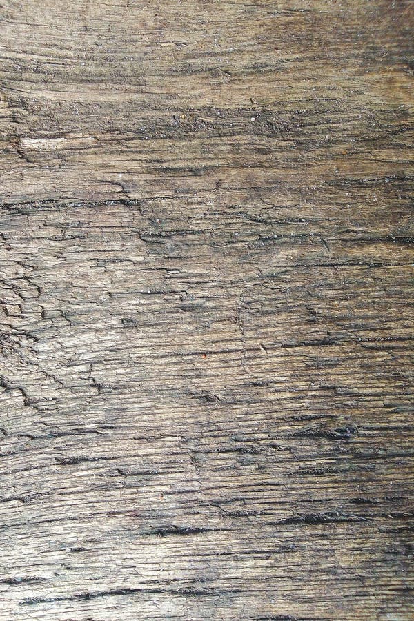 Large Textured Plan of the Wood Wall Texture. Stock Photo - Image of ...