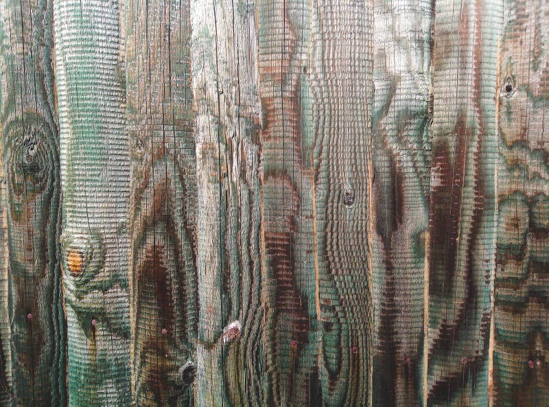 Large Textured Plan of the Wood Wall Texture. Stock Photo - Image of ...