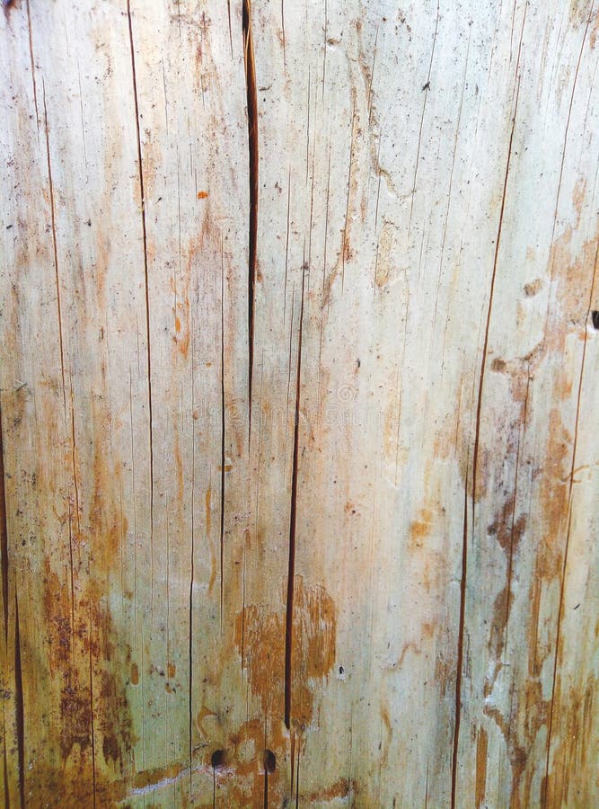 Large Textured Plan of the Wood Wall Texture. Stock Photo - Image of ...