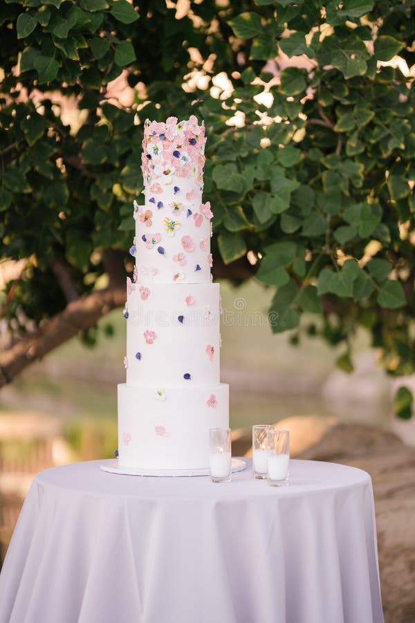 Large Three-tiered White Cake for Wedding Under the Tree Stock Photo ...